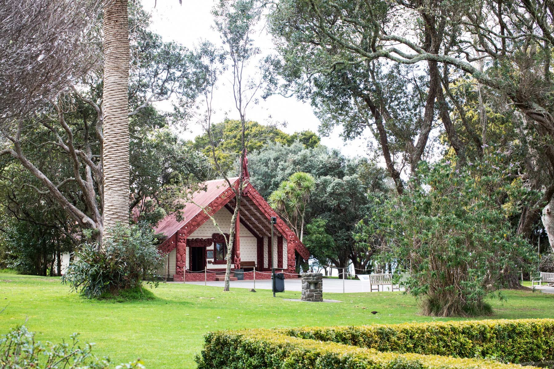 Māori Carved Meeting House | Waitangi Treaty Grounds