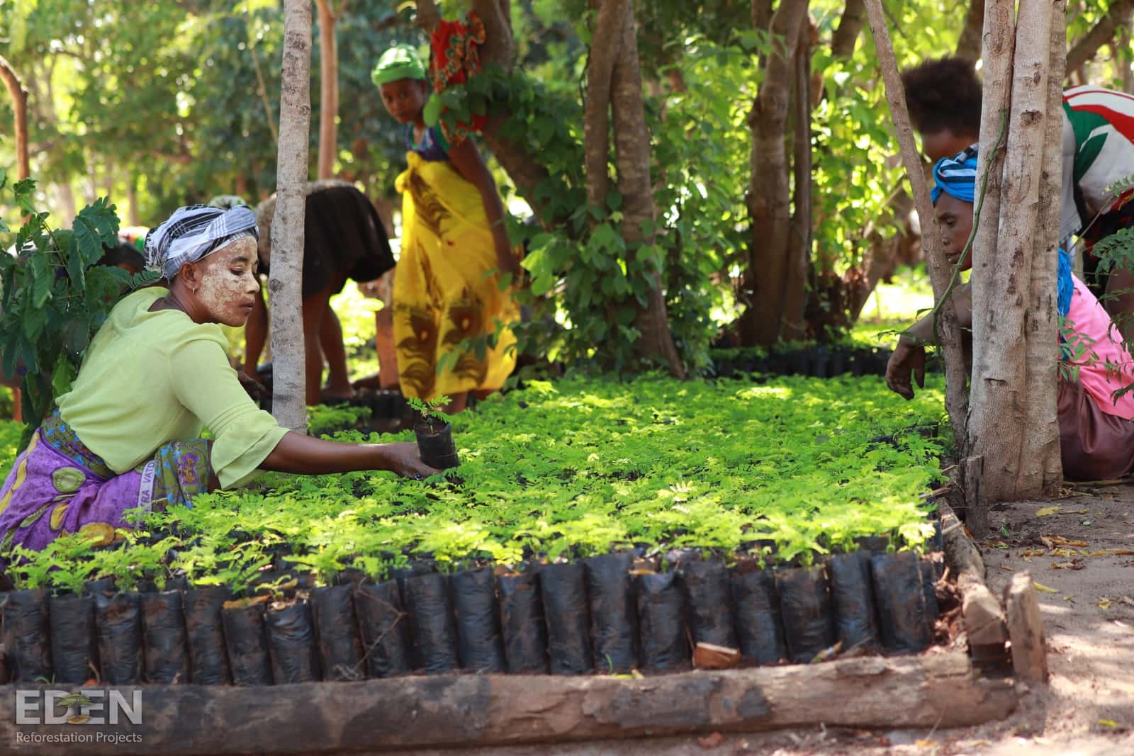 Eden Reforestation Projects