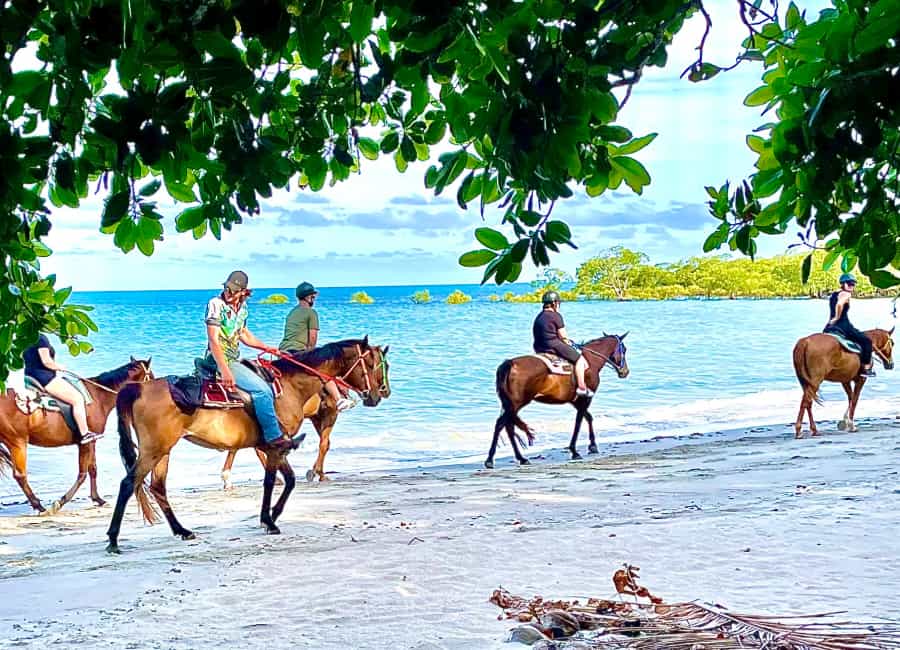 Best Daintree Rainforest Trips & Tours