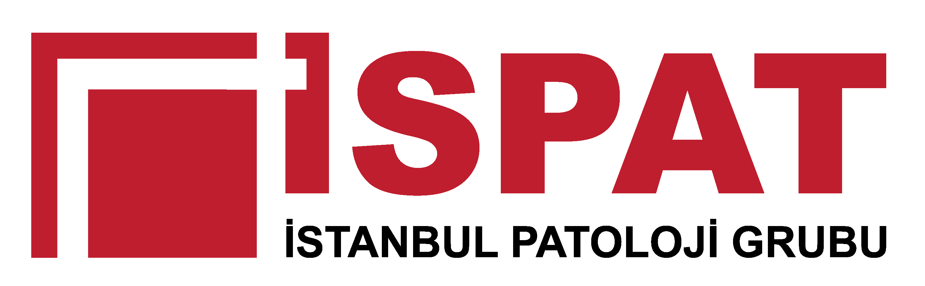 İSPAT - Hakkımızda