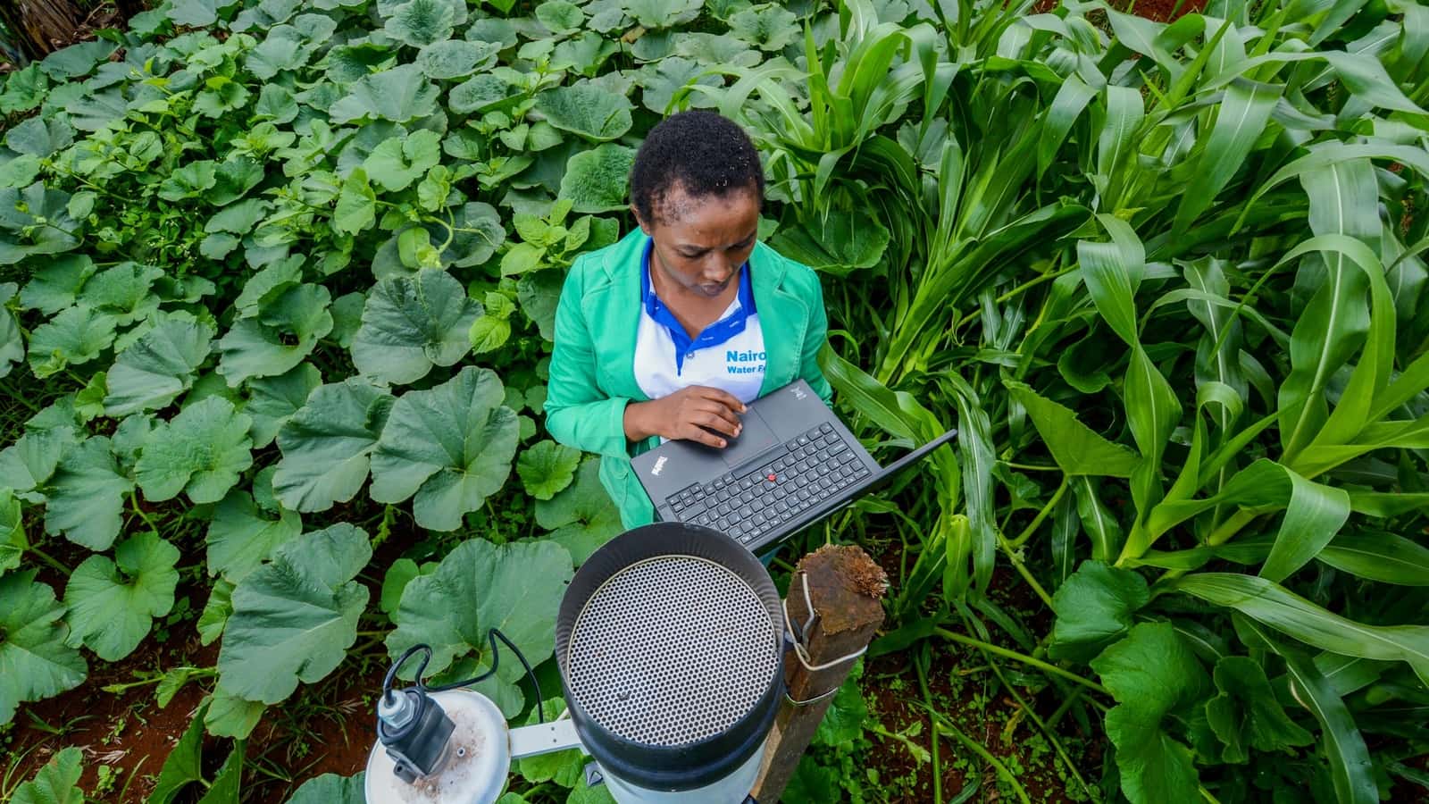 Our programs - Bezos Earth Fund