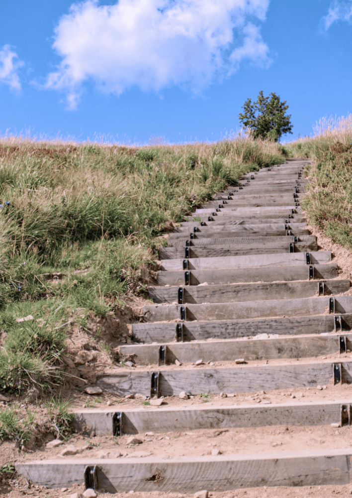 Startseite - Claudia Reinbold