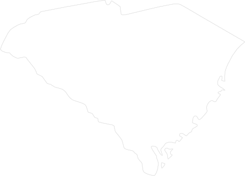 South Carolina Annual General Meeting Requirements For Condos Co Ops And HOA BuildingBoard south-carolina-annual-general-meeting-requirements-for-condos-co-ops-and-hoa-buildingboard