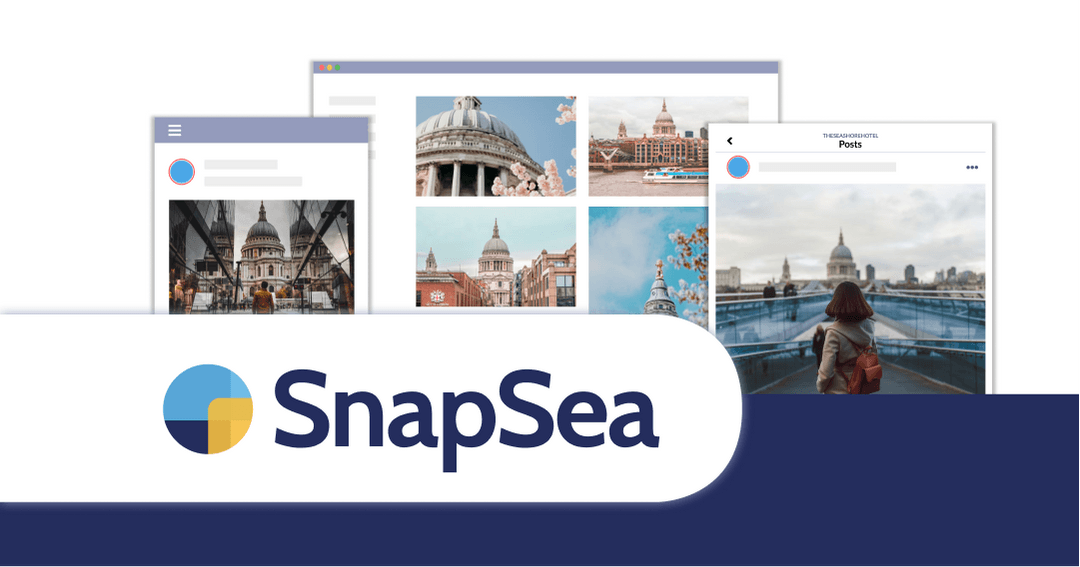 SnapSea: User-Generated Content (UGC) Platform & Digital Asset Management