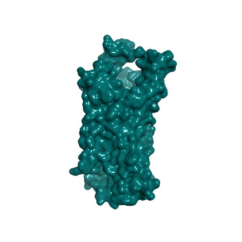 Lassogen : Target & Pipline