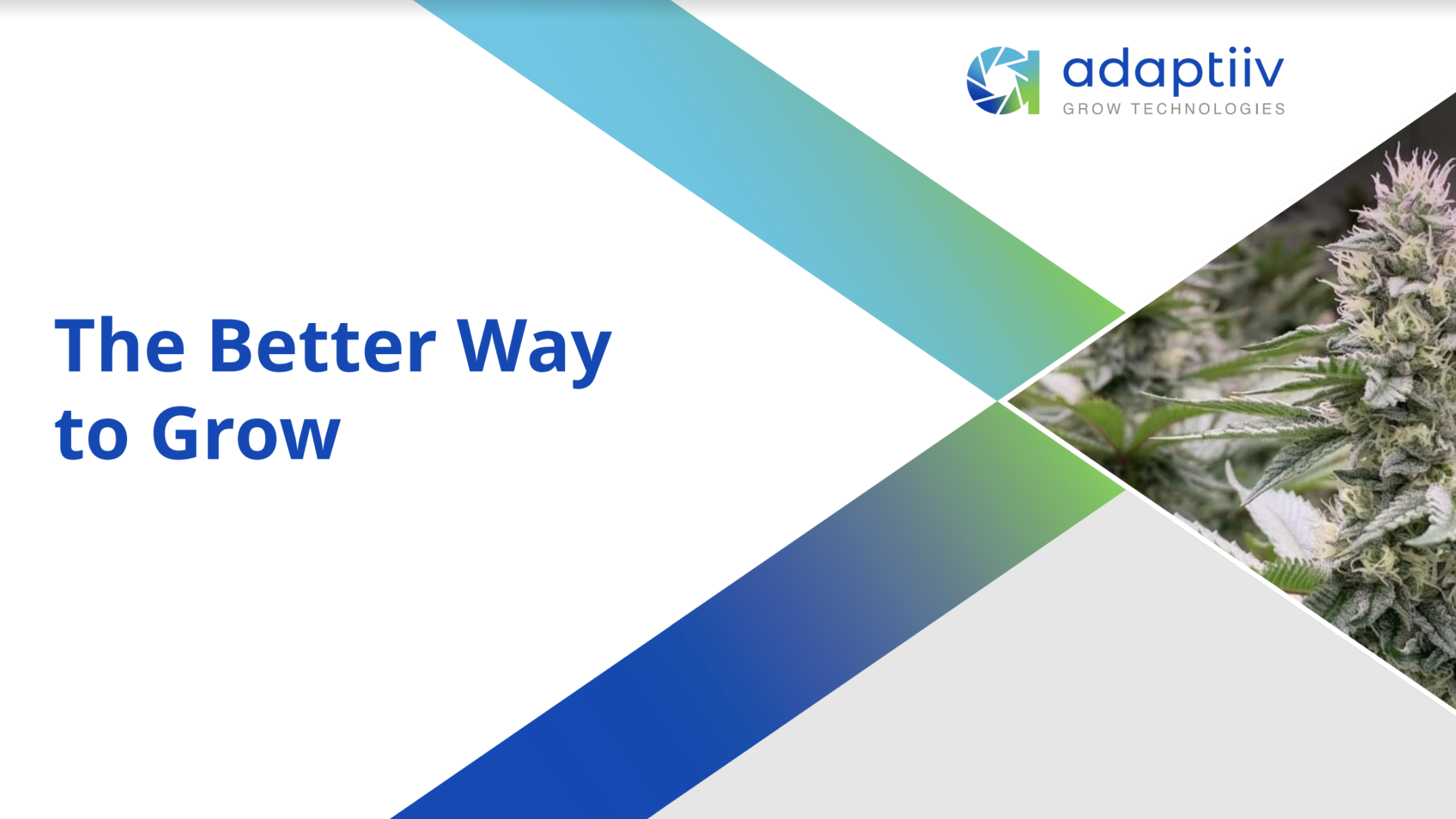 Adaptiiv Grow Technologies | Take Control of Your Grow