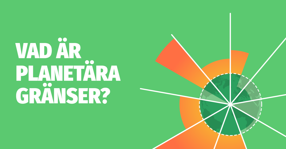 What are planetary boundaries?