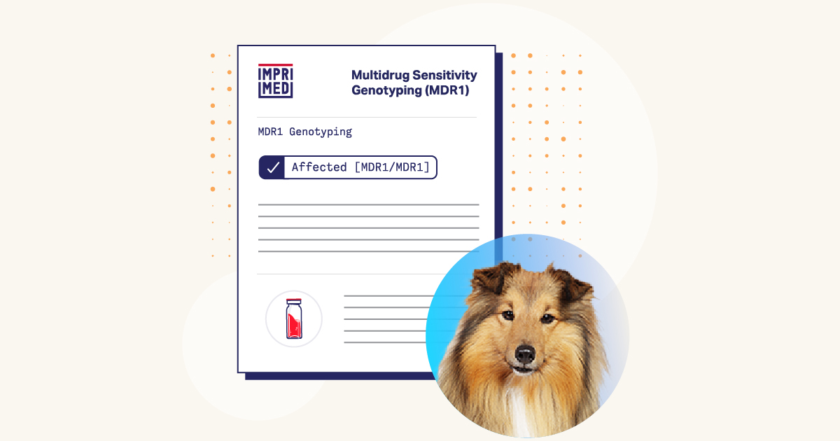 ImpriMed Multidrug Sensitivity Genotyping (MDR1)