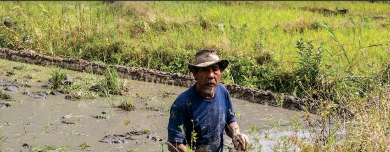 Unli Rice: Bawat Butil ay Buhay - Features | Matanglawin Ateneo