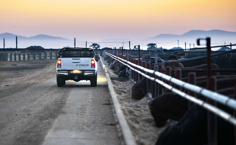 Meat Suppliers Polokwane | Feedlot & Abattoir