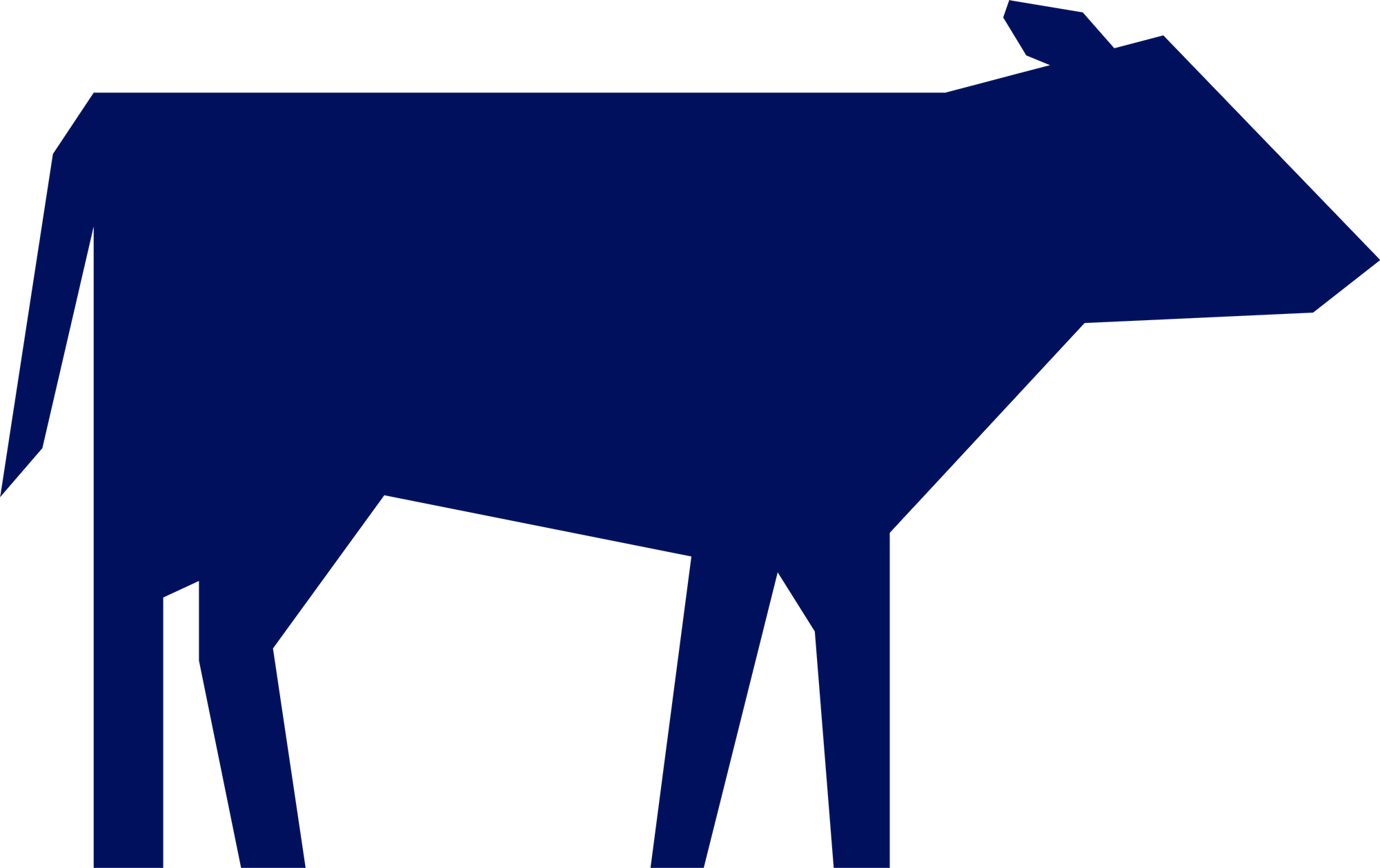 Abattoir Operations | Beef Products & Butchery