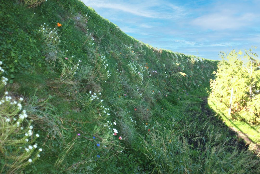 Gravitas International Building Highways for a Sustainable Future with ...