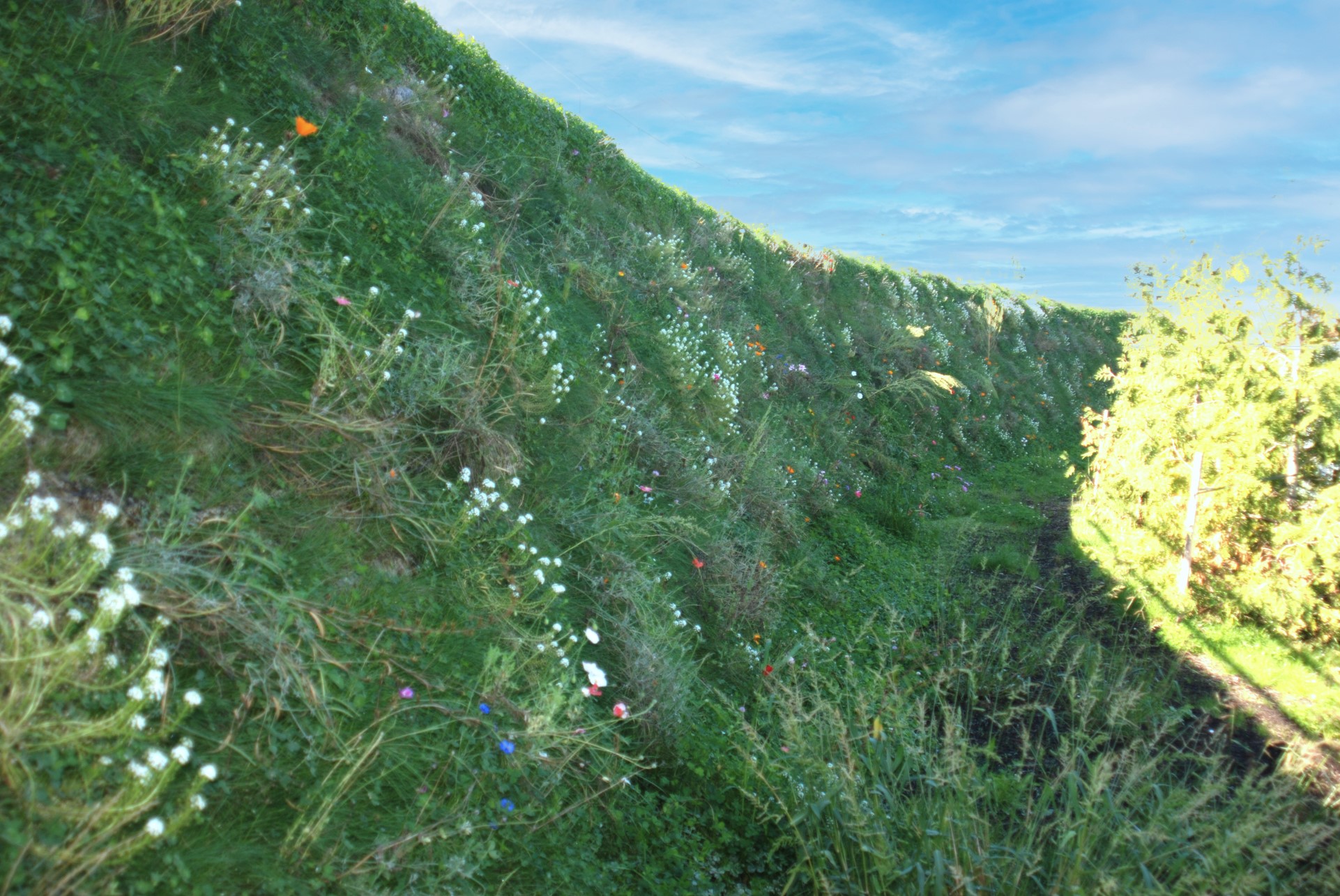 Gravitas International Building Highways for a Sustainable Future with ...
