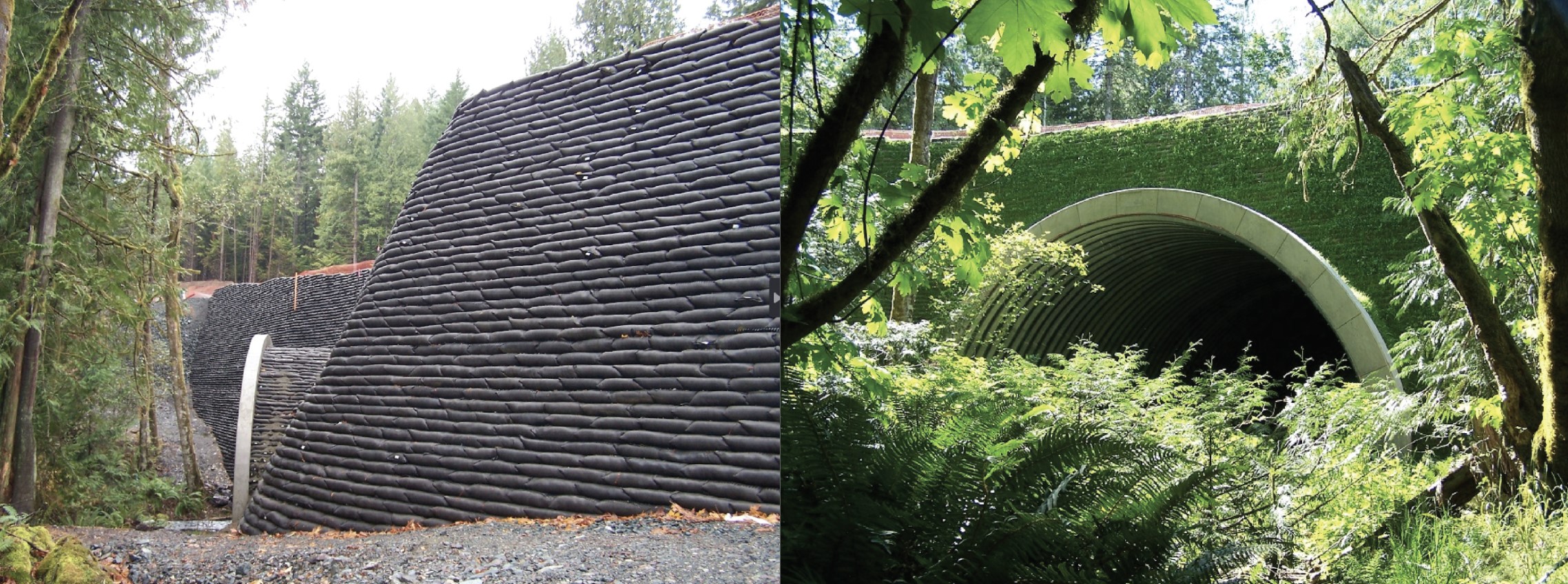 Gravitas International Building Highways for a Sustainable Future with ...