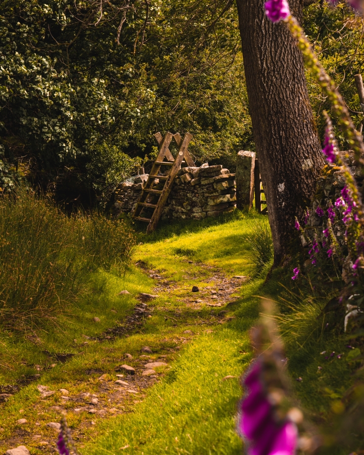 National Trust Site: Chastleton House - CotswoldXL Magazine