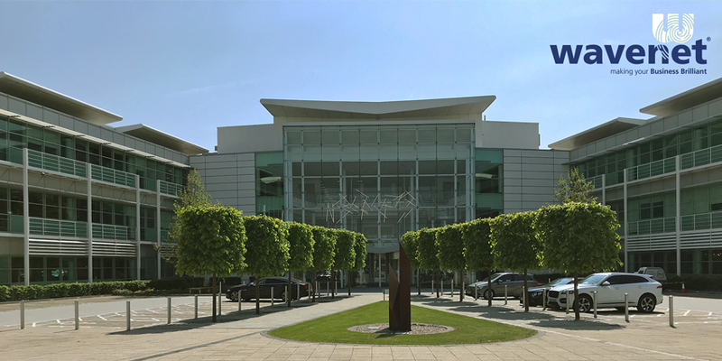 Beech Tree PE Website