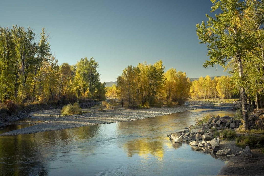 Gallatin River Fishing Report