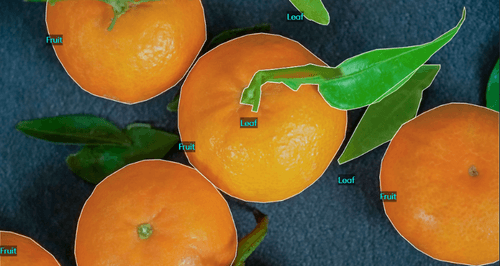 What is image annotation? Introduction to image annotation for ML ...