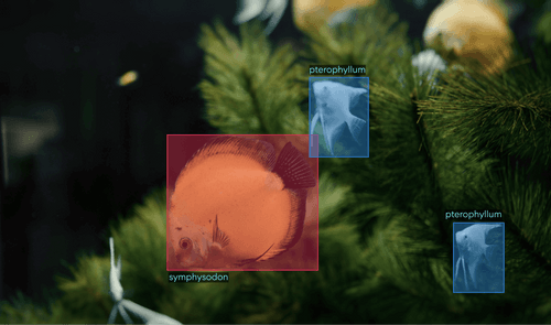 Introduction to object detection with deep learning | SuperAnnotate