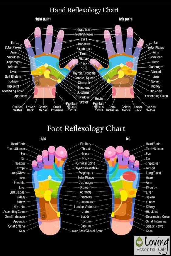 Reflexology