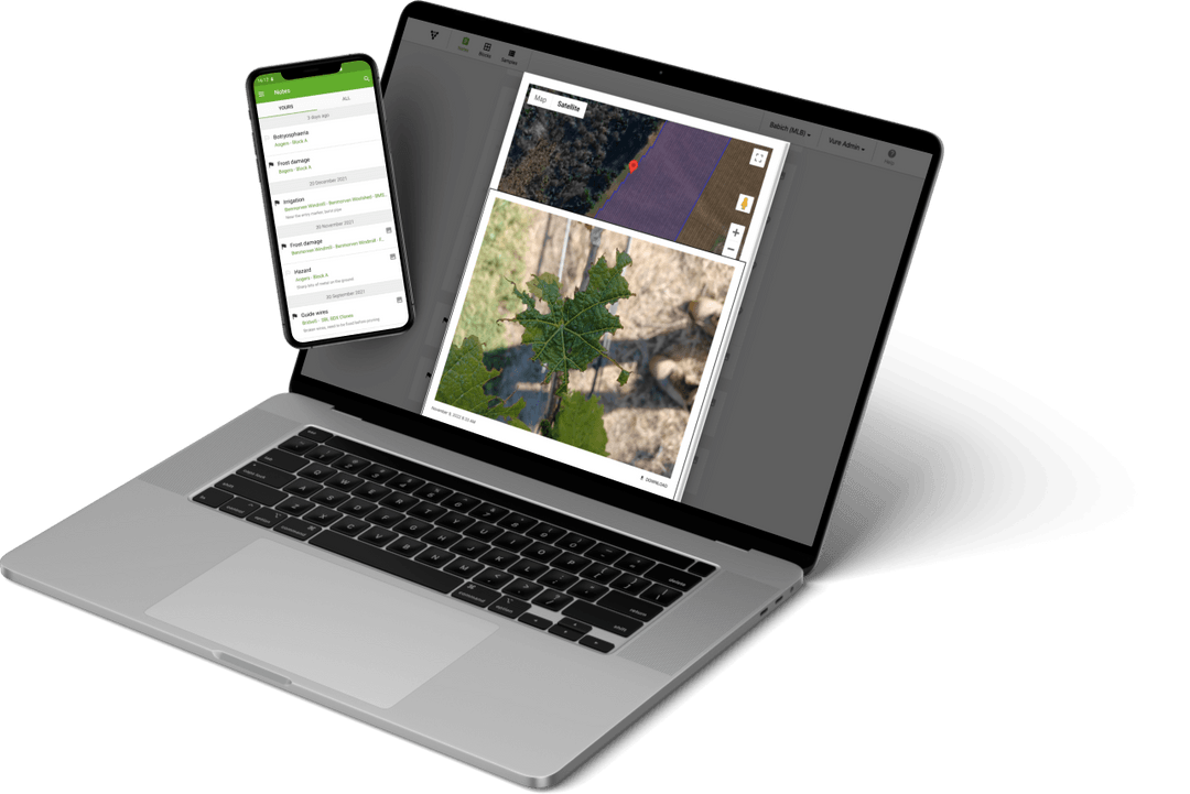 Vure - Viticulture Yield Estimation Refined