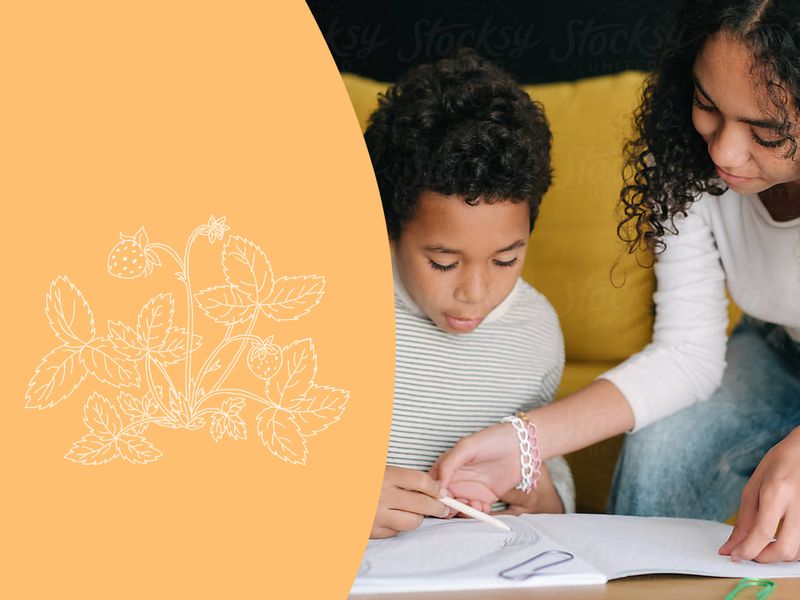 Prompt Hierarchy ABA: A Powerful Applied Behavior Analysis Tool ...