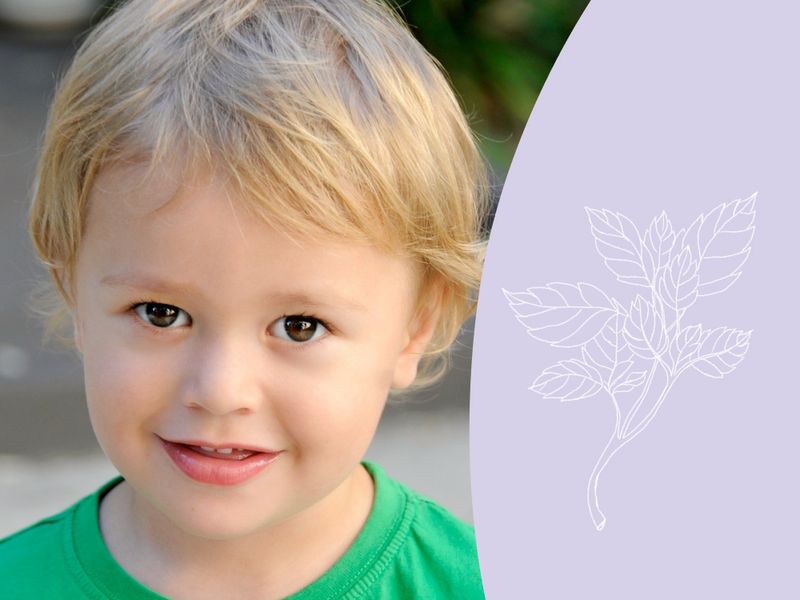 Pervasive Developmental Disorder (PDD) | Autism Resources