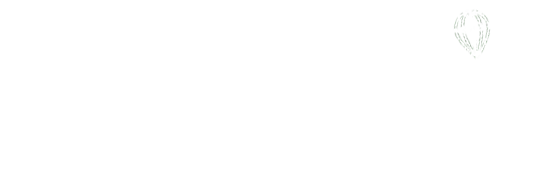 Noah Morris - YouTube Faceless industry