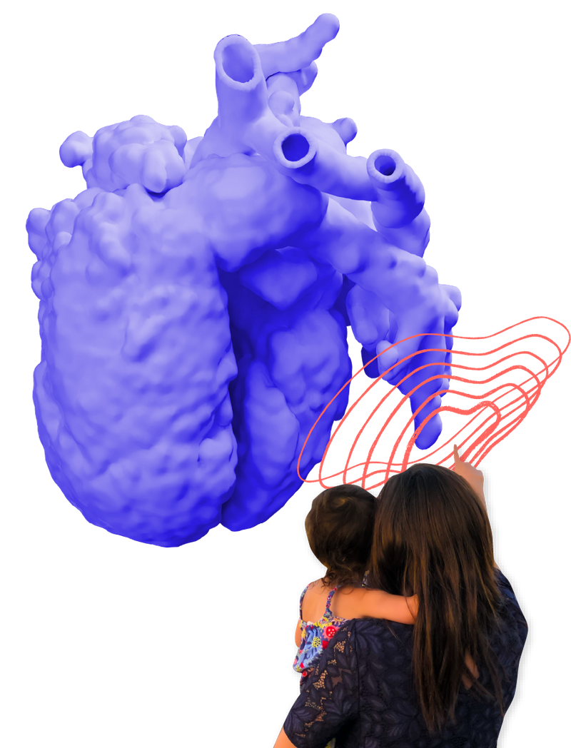 The 3D Heart Project