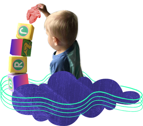 The 3D Heart Project