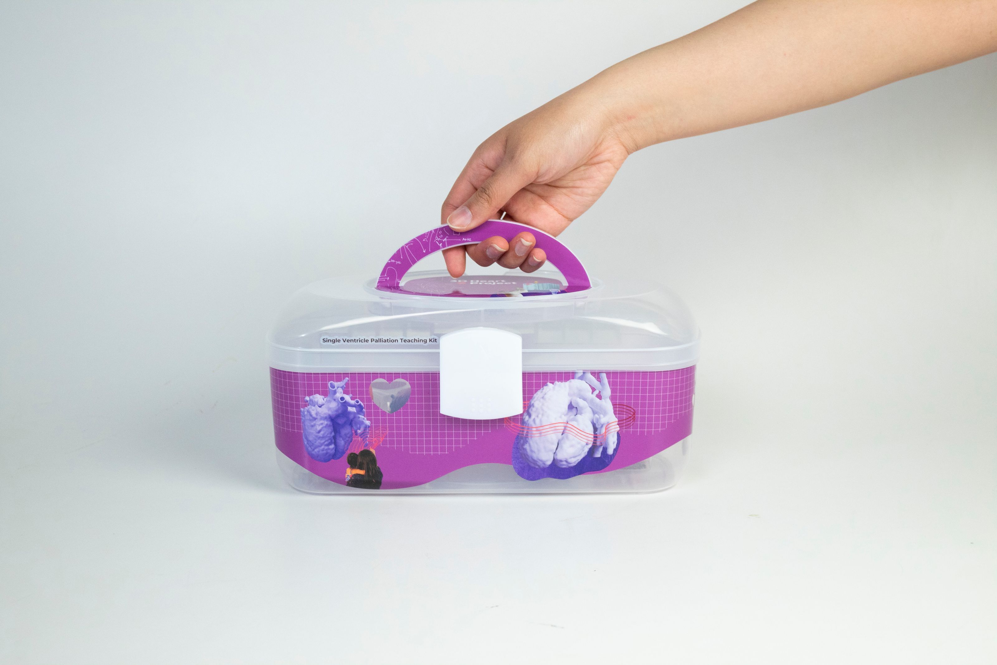 The 3D Heart Project