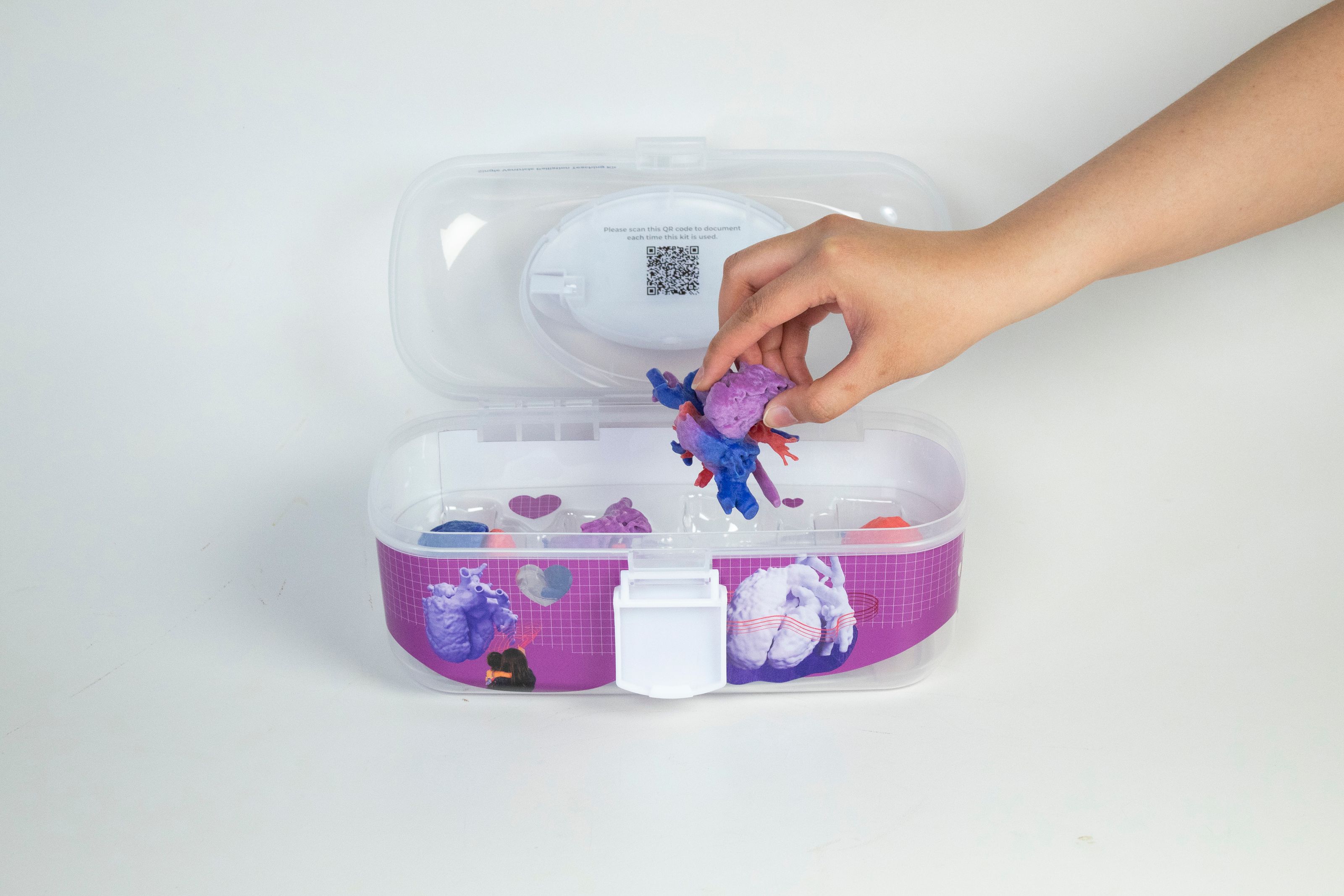 The 3D Heart Project