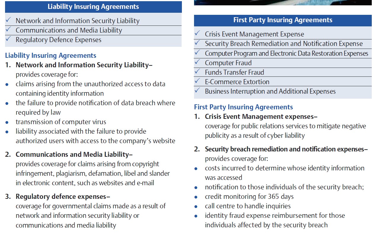 Cyber Security Liability