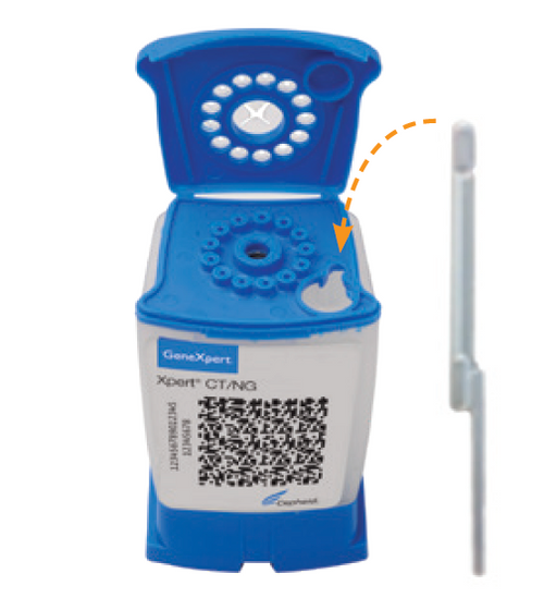 Unleash the Power of PCR