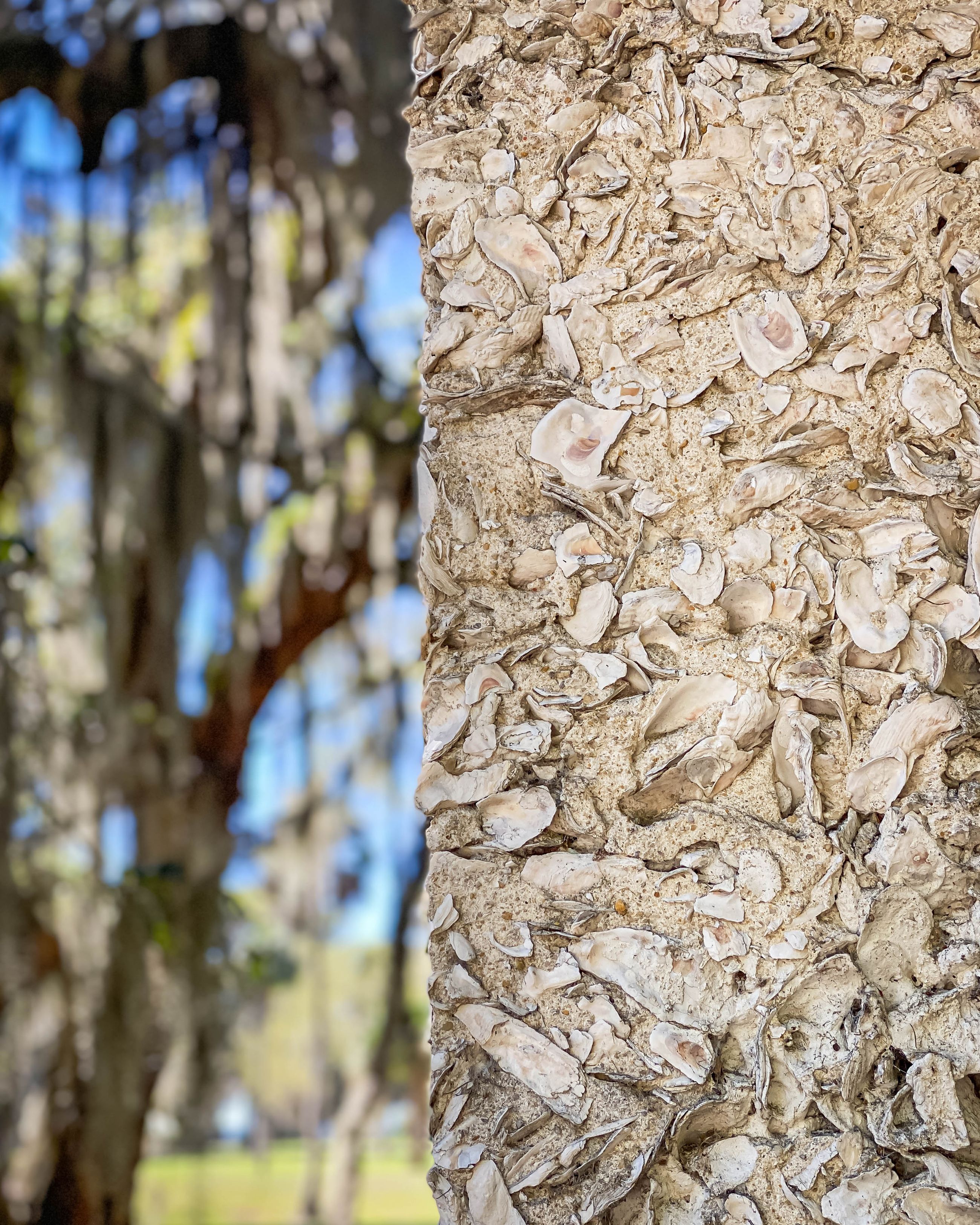 What is Tabby Cement and How is it Used in Construction?