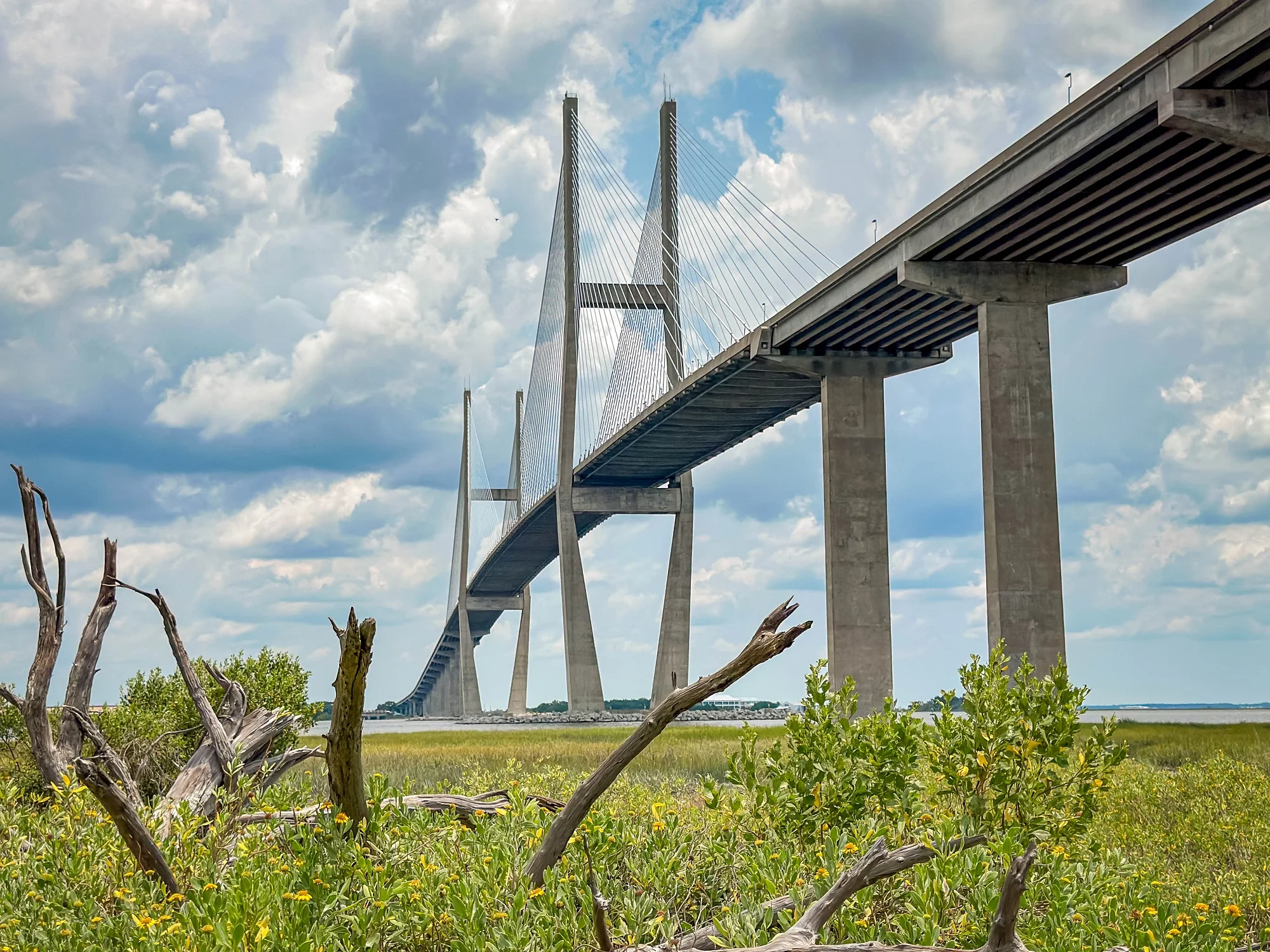 Sidney Lanier Bridge: Crossing the Brunswick River in GA