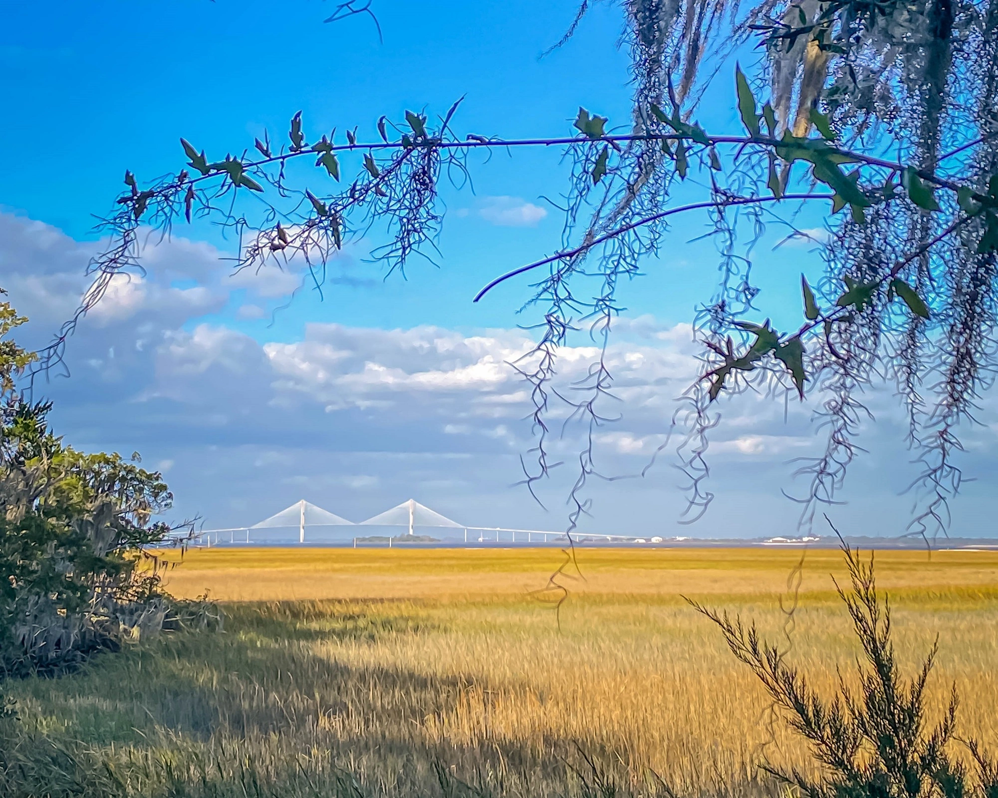 A Guide to the Spectacular Golden Isles of Georgia