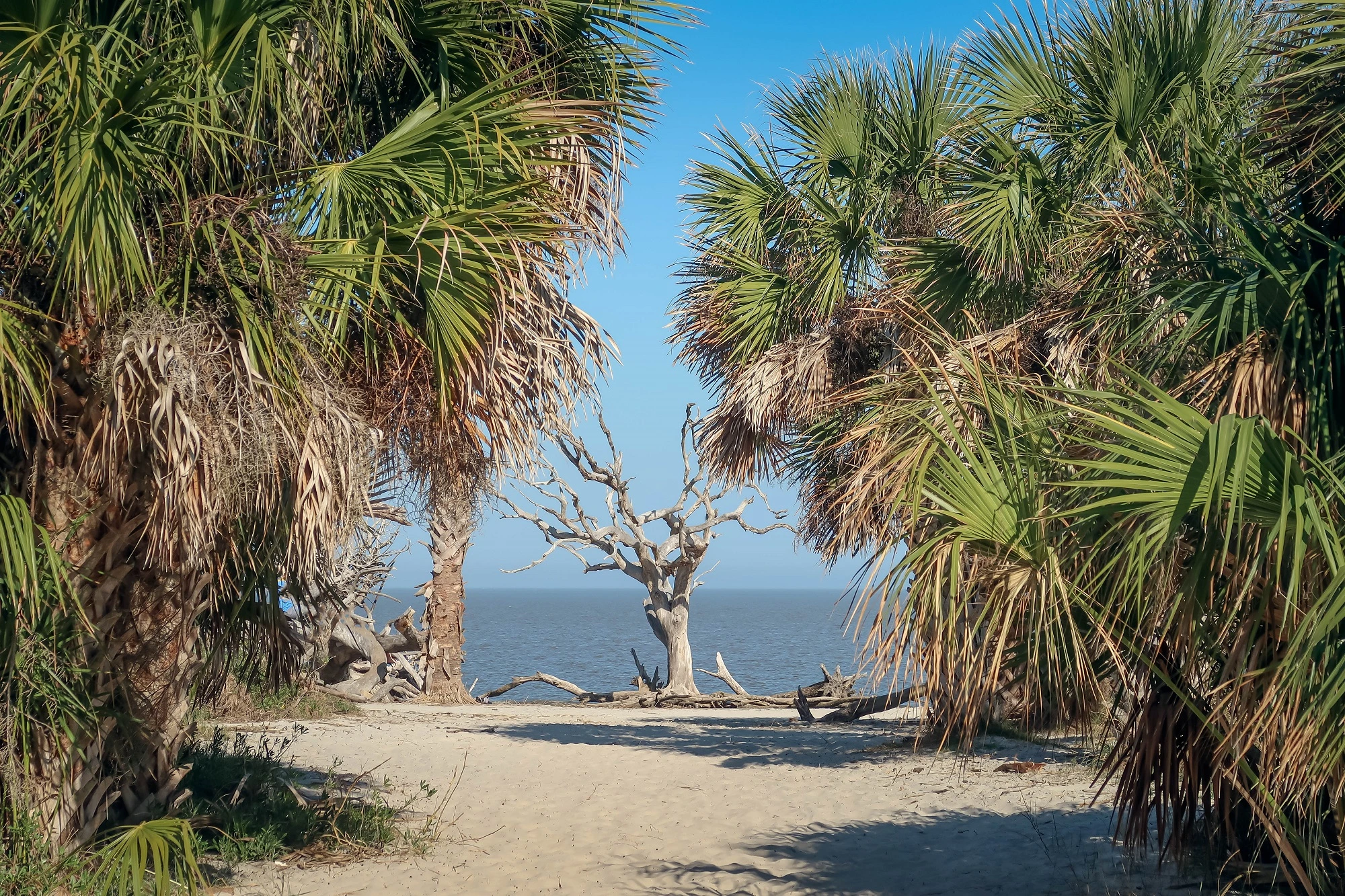 A Guide to the Spectacular Golden Isles of Georgia