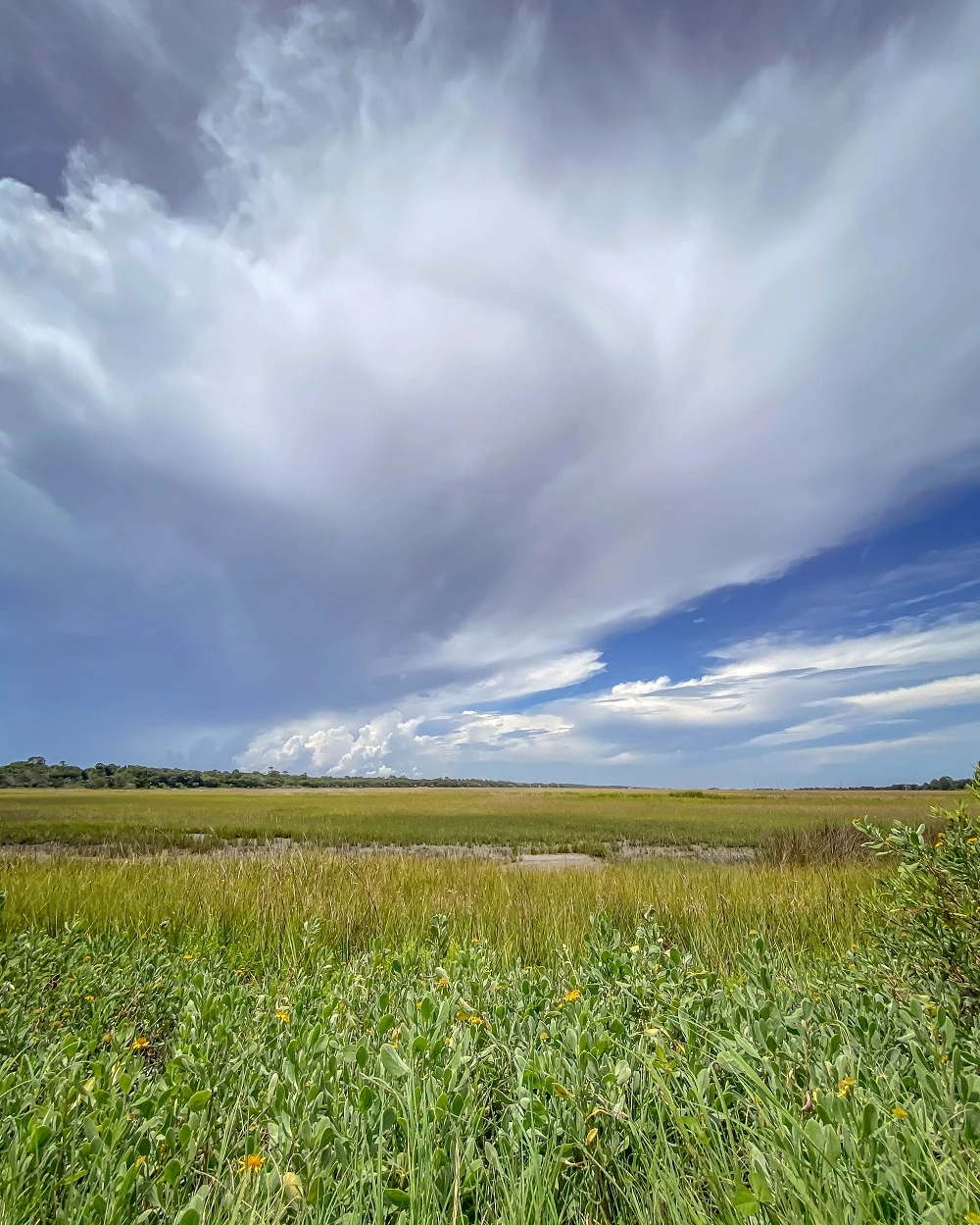 A Guide to the Spectacular Golden Isles of Georgia