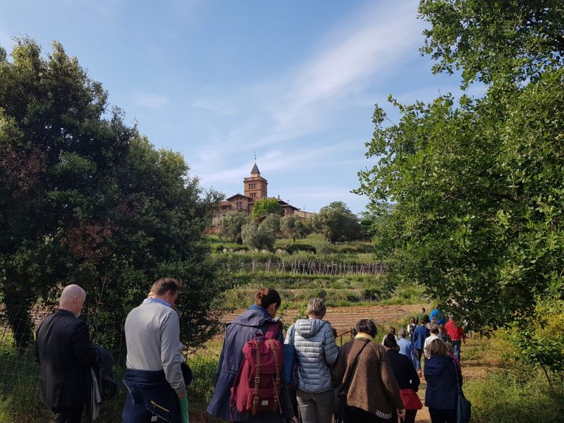 Ruralization, 2019-2023