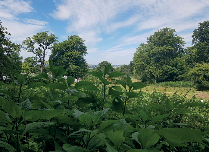 New report: Common Good Land Use in England – State of the Sector 2019