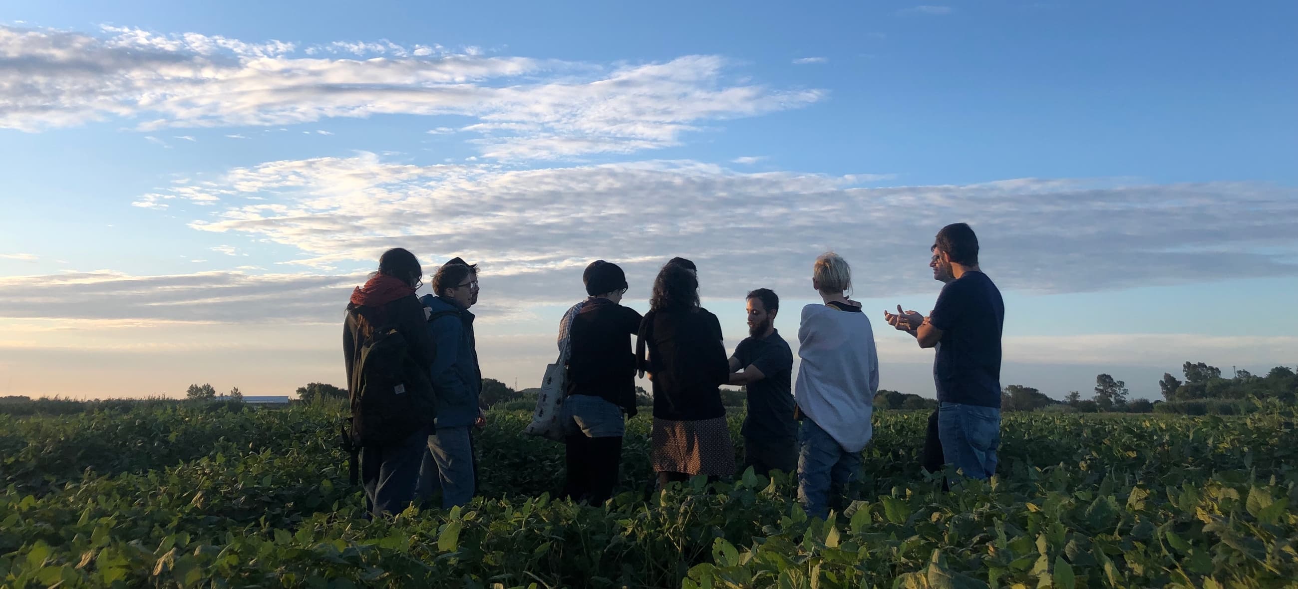 Shared Assets - Home