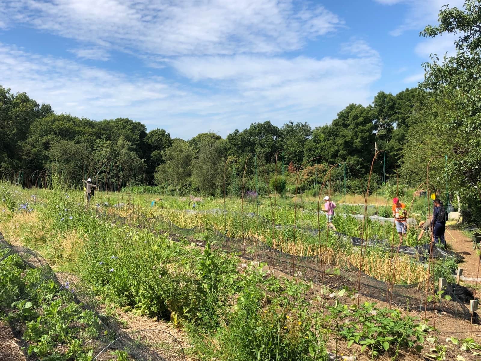 Shared Assets - Home