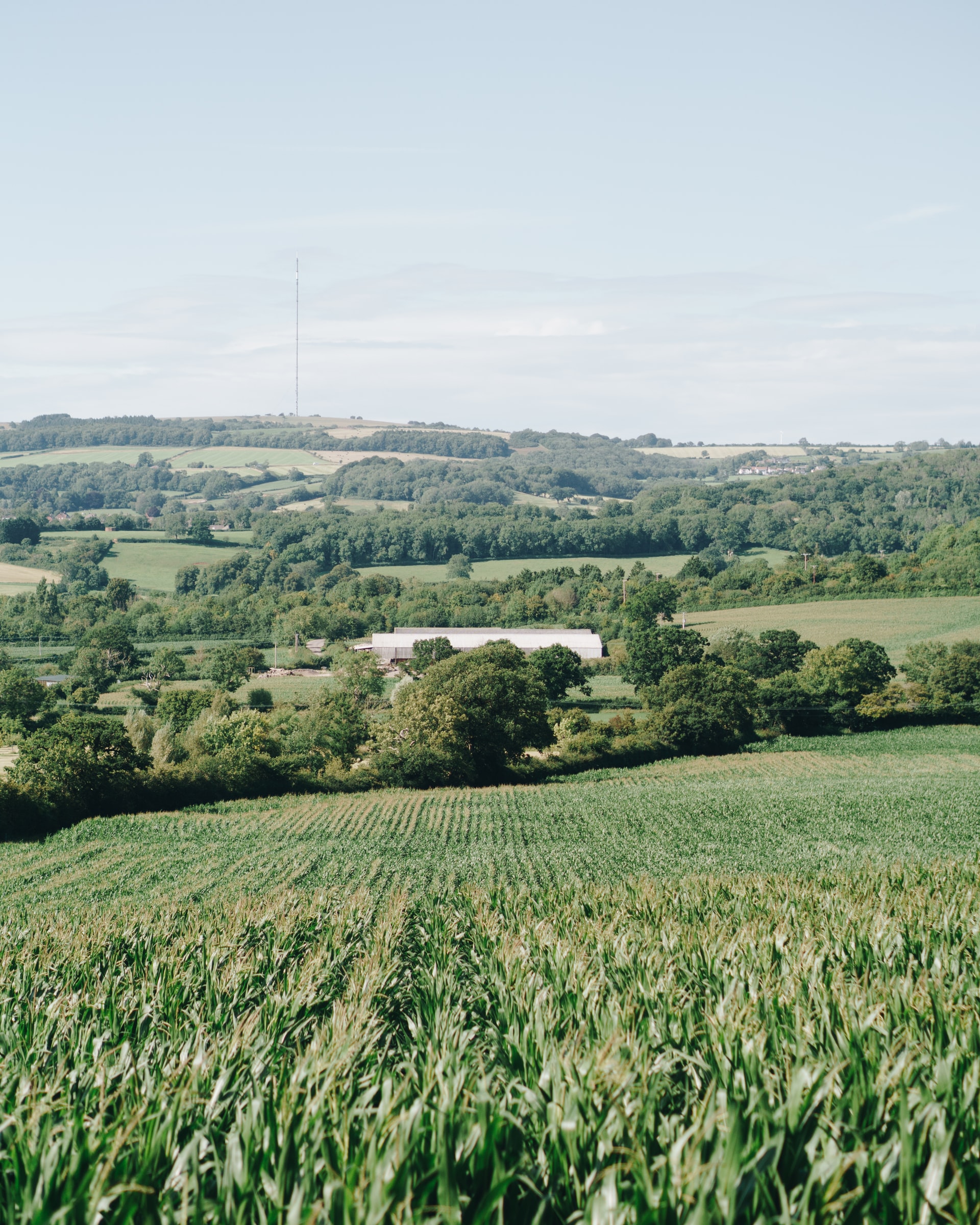 Stop the sale of County Farms!