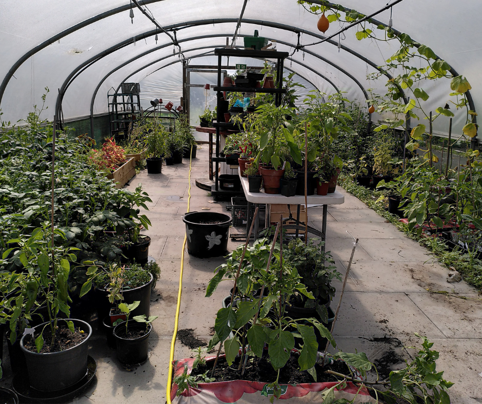 Community Fed Oldham: A new support programme to resolve food poverty ...