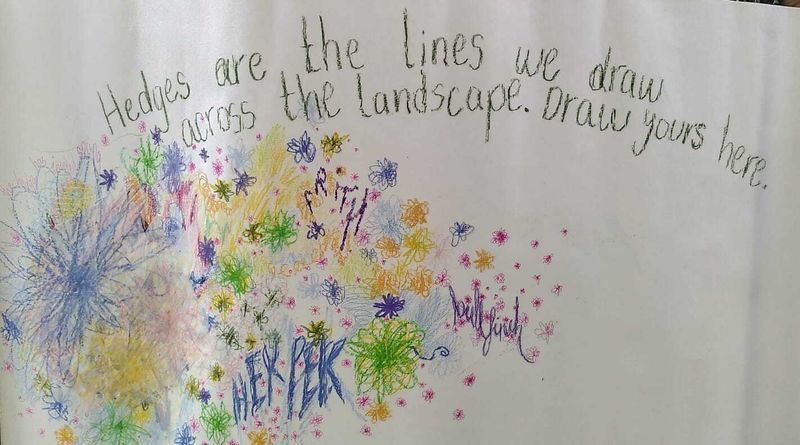 Shared Assets - Home