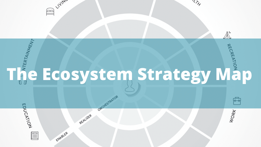 The Ecosystem Strategy Map I Blog Ecosystemizer