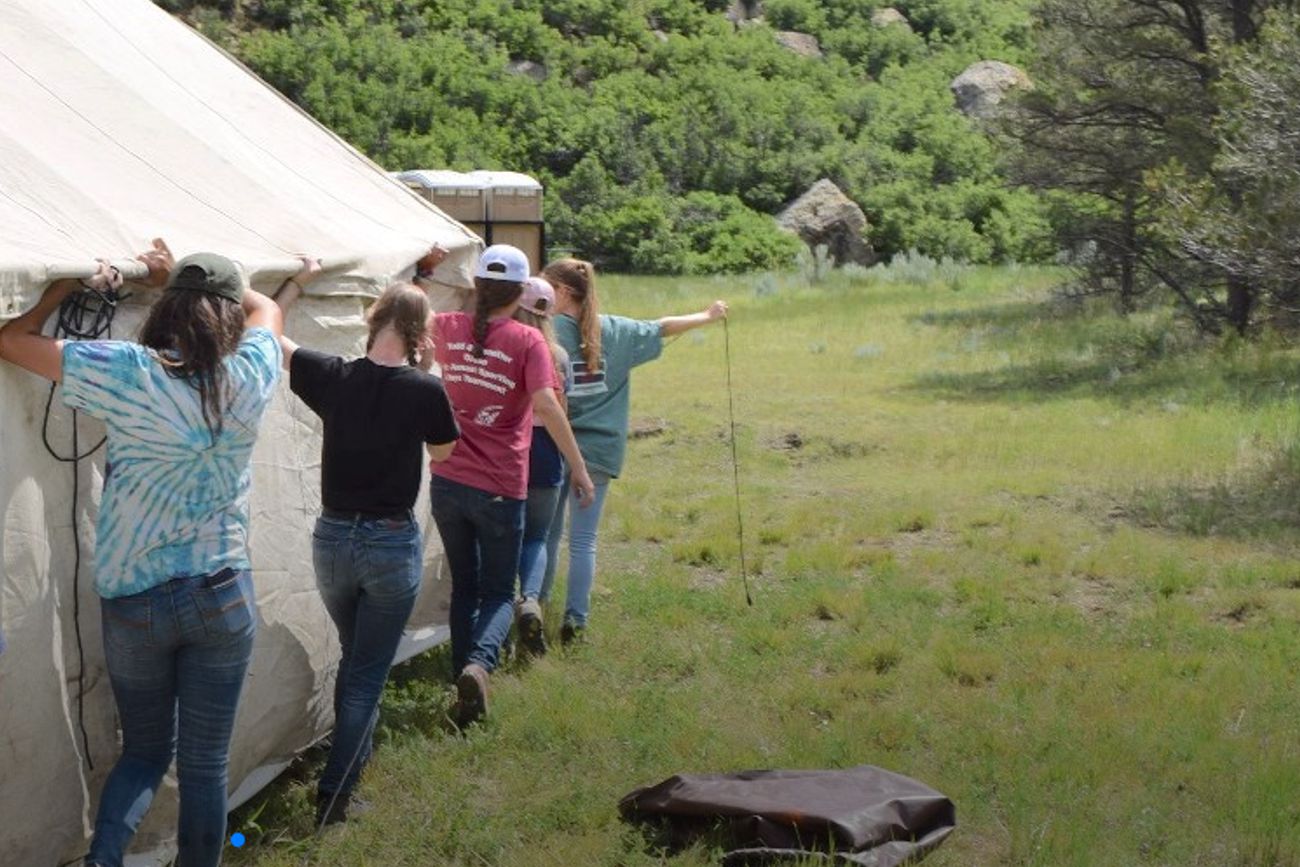 Camps