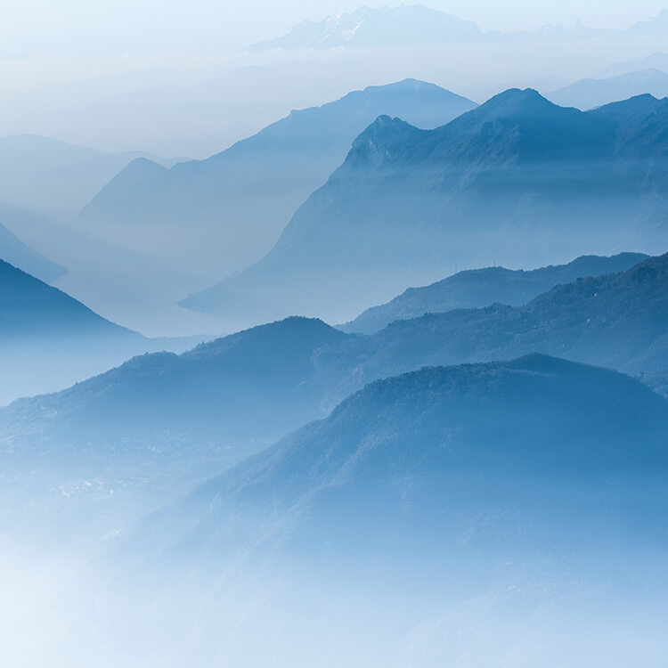 cusTOM FLOWERS - Floral Design für Events und Dekorationen by TOM FLOWERS