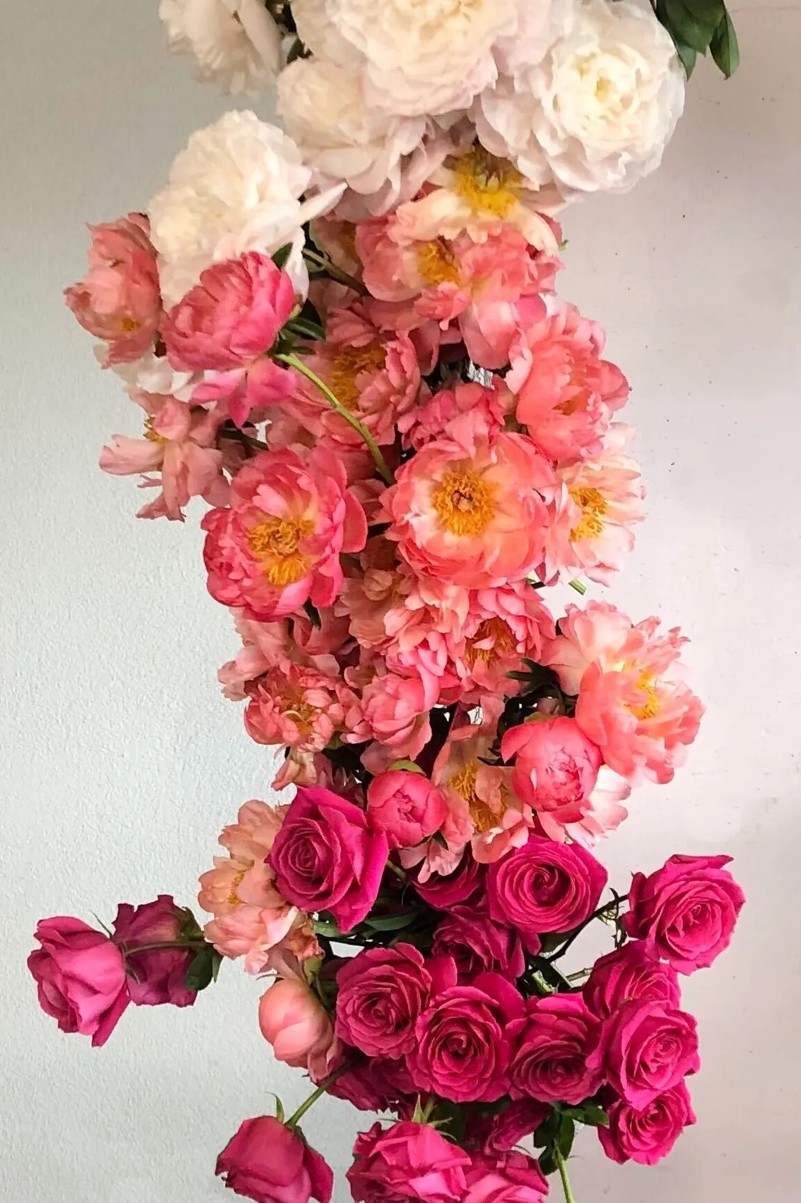 cusTOM FLOWERS - Floral Design für Events und Dekorationen by TOM FLOWERS